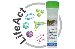 Confocal Microscopy | Principle & Applications | ibidi