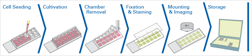 The Principle of ibidi Imaging Chambers | Chamber Geometry | ibidi